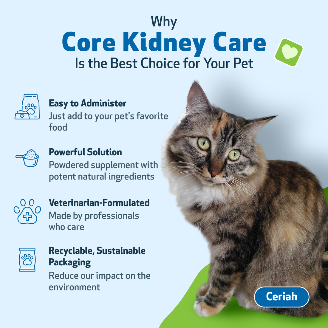 CORE KIDNEY CARE - Daily Phosphate Binder for Cats & Dogs | Pet ...